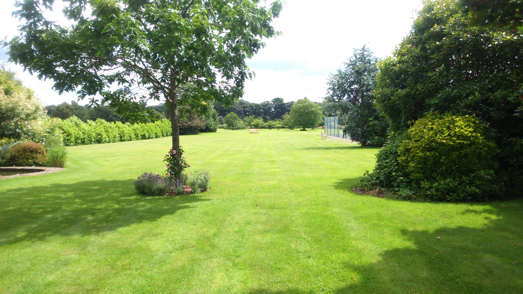 Contact – Arcadia Garden – garden and tree care services